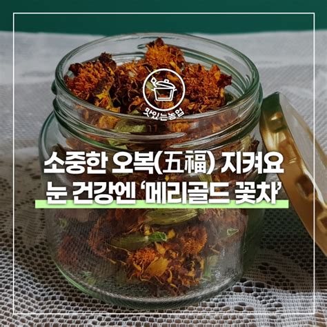 소중한 오복五福 지켜요 눈 건강엔 메리골드 꽃차 네이버 블로그