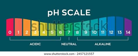 Ph Value Scale Chart Acid-alkaline Solution Stock Vector (Royalty Free ...