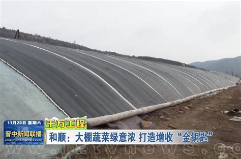 千万工程晋中市和顺县大棚蔬菜绿意浓 打造增收金钥匙 凤凰网视频 凤凰网