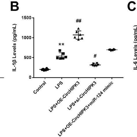 Effect Of Circular Rna Homeodomain Interacting Protein Kinase 3