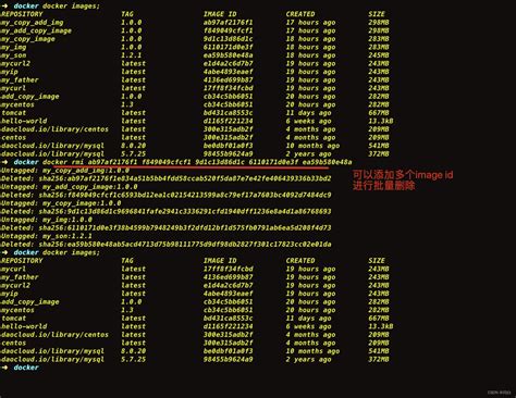 Docker基本命令 镜像docker Image Id Csdn博客