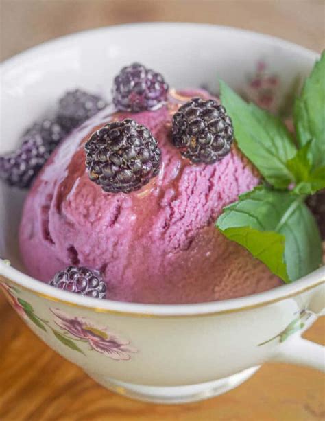 Homemade Black Raspberry Ice Cream Forager Chef