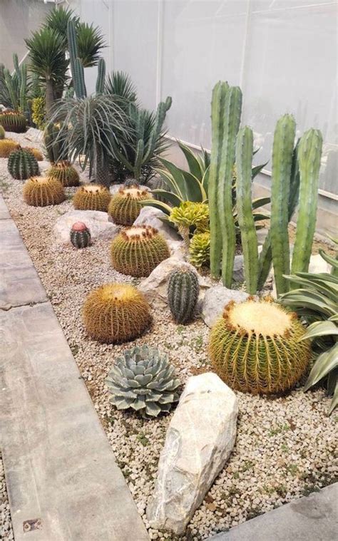 A Chic Front Yard With Cacti And Some Succulents Planted Ina Flower Bed
