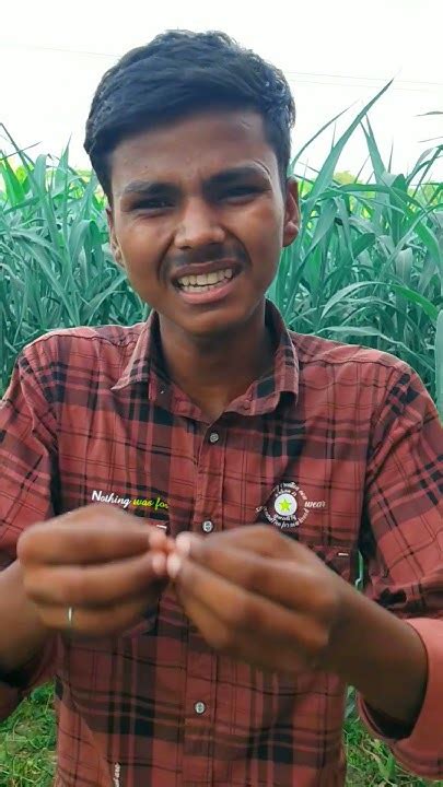 Improve Digestive System Naturally आपका खाना पच रहा है या सड़ रहा है