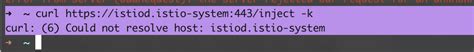 Sidecar Injector Istio Io Failed To Call Webhook Issue