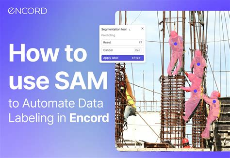 How To Use Metas Segment Anything Model Sam To Automate Data