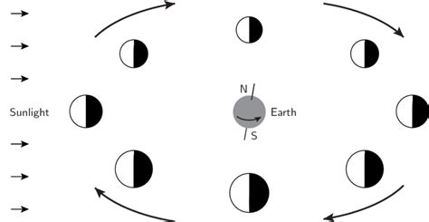 Moon Phase Diagram 2 Diagram Quizlet