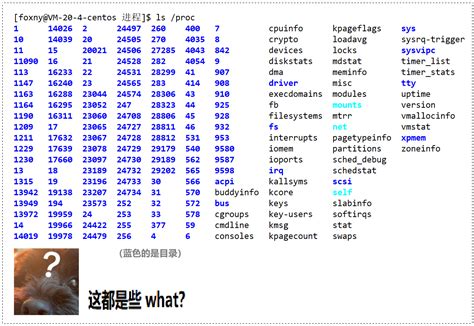 【看表情包学linux】11 进程的概念 进程控制块 Pcb 父进程与子进程 进程 Id Taskstruct子进程