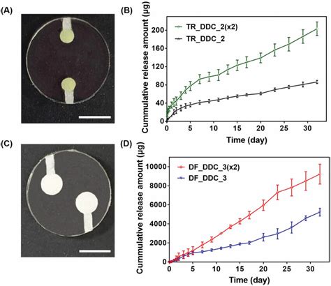 A Optical Image Of Trddc2x2 B In Vitro Tr Release Profiles Of