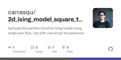 Github Carrasqu2disingmodelsquaretriangular Samples The Partition Function Ising Model