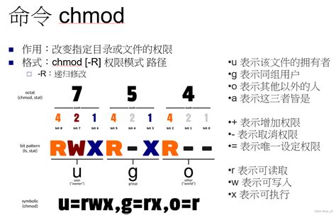 【linux】期末复习scau实验整理实验期末版精简版解释time Dgram Csdn博客