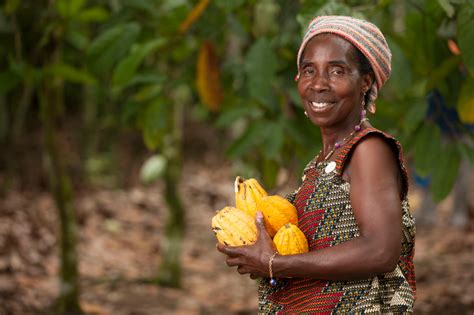 How Smallholder Cocoa And Coffee Farms Are Making Nestlé And Mars