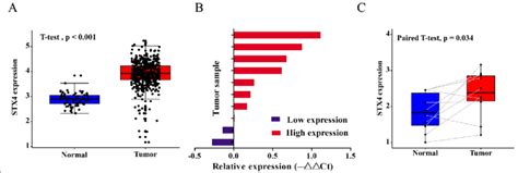 Expression Of Stx4 Mrna In Human Kirc A Stx4 Transcription Level Was