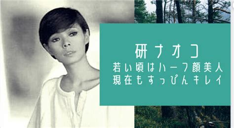 【画像】研ナオコの若い頃はハーフ顔美人！現在もすっぴんは肌つやつや？｜お笑い芸能headline