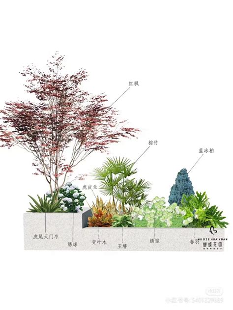 庭院植物配置 花瓣网