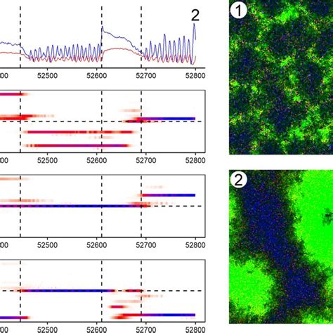 Effect Of Mutations On Evolutionary Transitions A Population Size Of Download Scientific