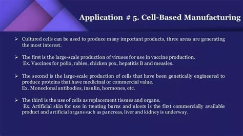 Animal Cell Culturepdf