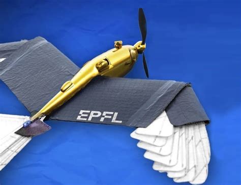 Worlds First Wingsuit With A Foil Flight Wordlesstech