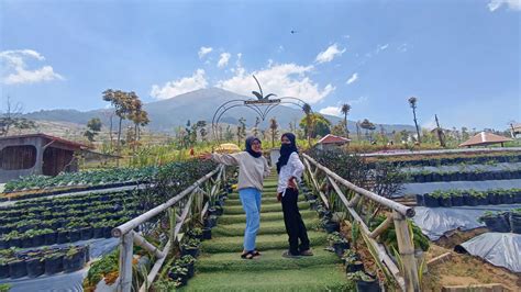 Inilah Alasan Wajib Mengunjungi Desa Wisata Mangli Di Magelang