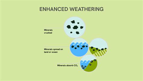 Biological Oceanographer Studies Carbon Dioxide Removal