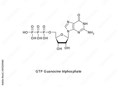 Gtp Guanosine Triphosphate Nucleoside Molecular Structure On White Background Dna And Rna