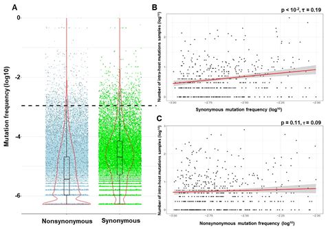 Tradeoffs Between Proliferation And Transmission In Virus Evolution
