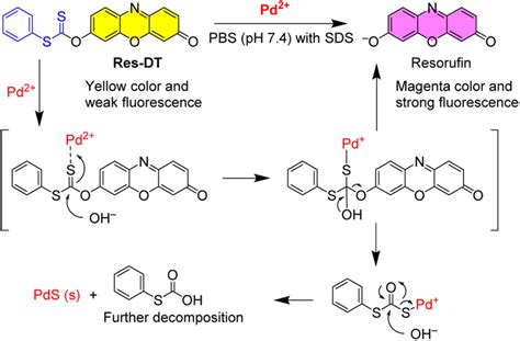 Suggested Pd² sensing mechanism of Res DT Download Scientific Diagram