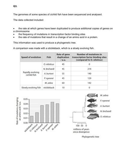 Biology Topic 4 Flashcards Quizlet