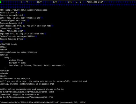Nginx Range 过滤器整形溢出漏洞 Cve20177529预警分析 360cert