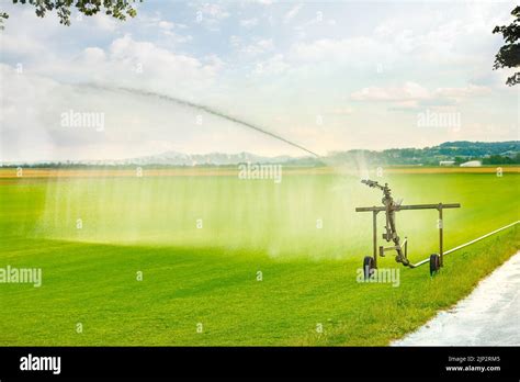 Green Lawn Grass Gets Water Using A Sprinkler System With Self