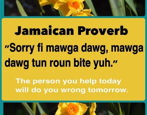 12 Jamaican Proverbs And Their Meanings Epic Jamaica