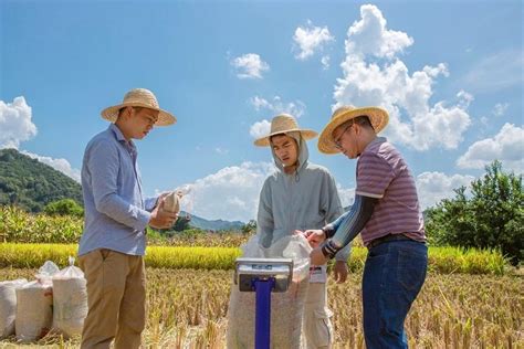 西林县开展水稻绿肥压青还田减肥试验 助力乡村振兴 医药医改频道 东方养生