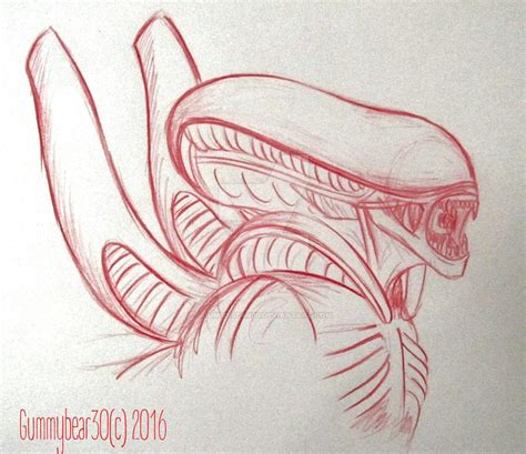 ~xenomorph Sketch~ By Gummybear30 On Deviantart