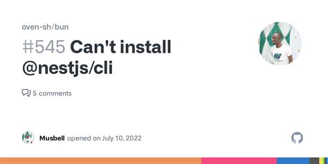 Cant Install Nestjscli · Issue 545 · Oven Shbun · Github