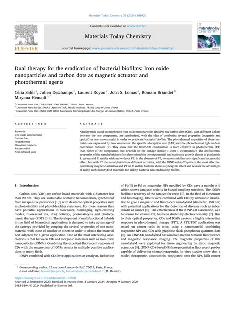 Pdf Dual Therapy For The Eradication Of Bacterial Biofilms Iron