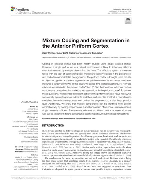 Pdf Mixture Coding And Segmentation In The Anterior Piriform Cortex