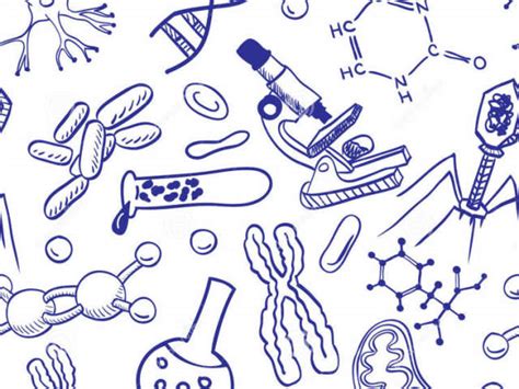 Código Genético Juliana Osses Zucareli Quizur