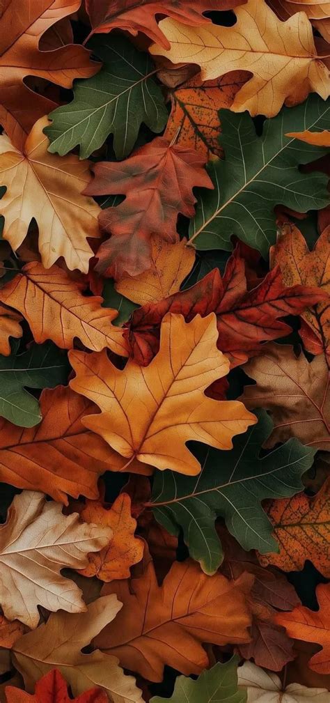 Пин от пользователя lizagr на доске Autumn Otoño Осенние картинки Фоновые рисунки