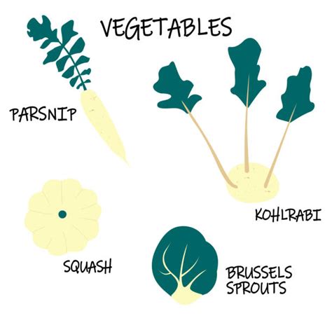 870 Parsnip Stock Illustrations Royalty Free Vector Graphics And Clip Art Istock