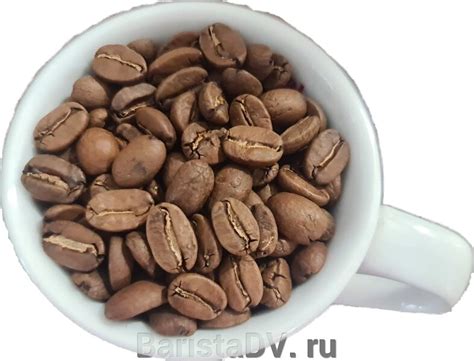 Доминикана Барахона АА (281619996) купить с доставкой по доступной цене ...