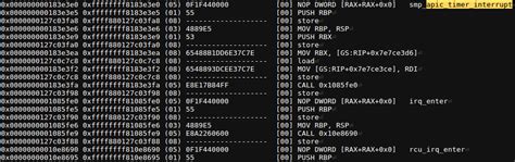 Assembly Tracing And Disassembling Linux Kernel Instructions Not