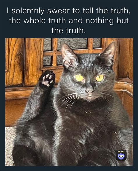 I Solemnly Swear To Tell The Truth The Whole Truth And Nothing But The