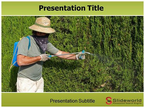 Insects PowerPoint Presentation Slideworld Com Ppt Templates Download Powerpoint