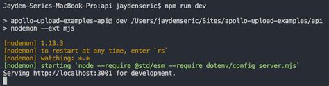 Server Infinitely Restarts Without Ext Mjs · Issue 1182 · Remy