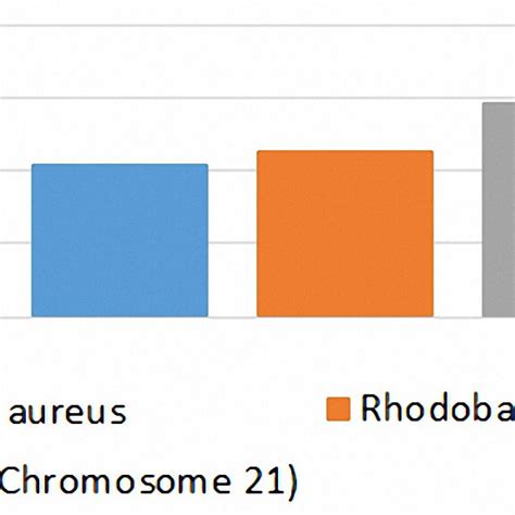 Gpu Memory Usage Throughout Assembly Download Scientific Diagram