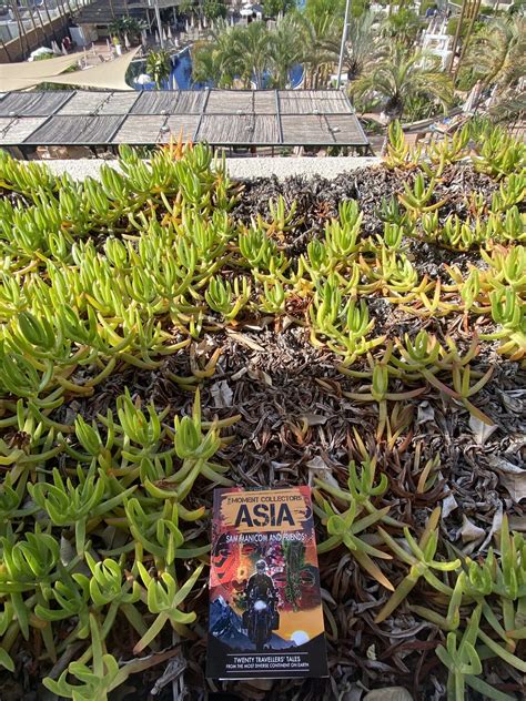 John Allsopp On Linkedin So Its My Birthday And What A Treat To Read