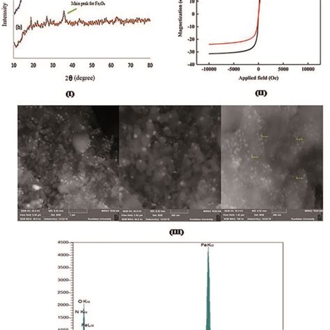 i xrd patterns of fe3o4 cs a and fe3o4 cs so3h b ii magnetic