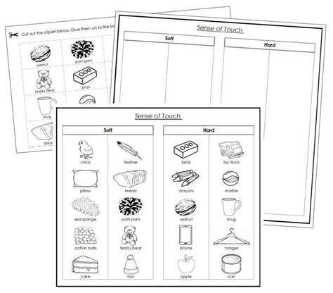 Sense Of Touch Sorting Blackline Masters Set 1 Montessori Science