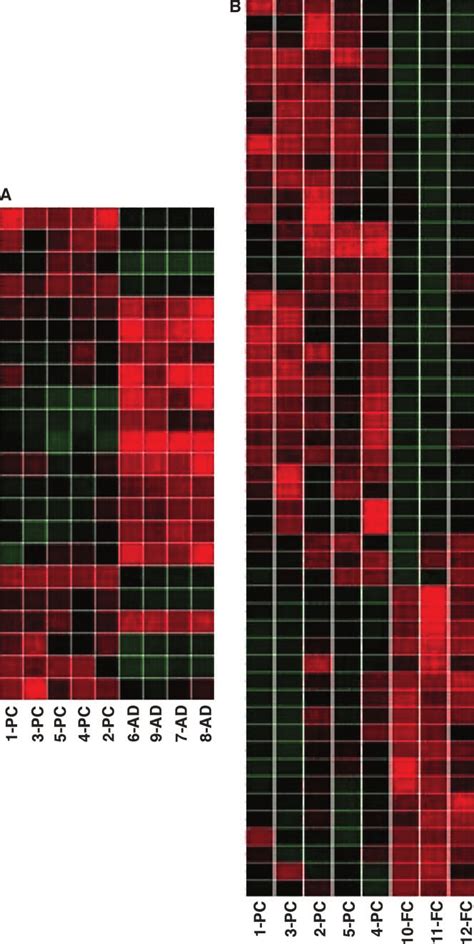 Hierarchical Clustering Based On Differentially Expressed Genes That Download Scientific