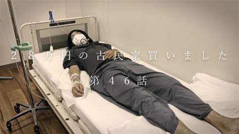 ついに倒れてしまいました 山林・竹林・無人島の購入＆開拓記録まとめ